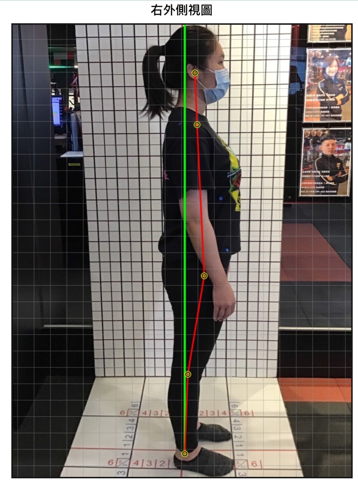 到底~世界健身「身體組成評估Inbody」在做什麼？(圖文超詳細)